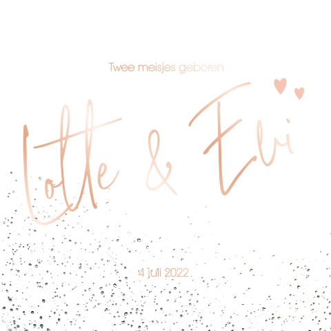 Geboortekaartje tweeling maken ♥ Gratis Proef ♥ MyCards.nl