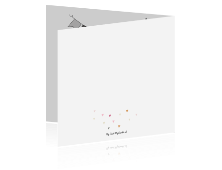 Geboortekaartje loopkar meisje vierde kindje