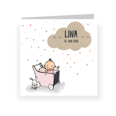 Geboortekaartjemeisje met knuffels